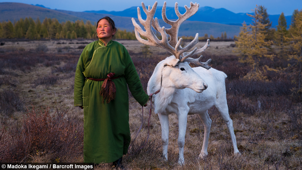 White Wolf : Fascinating photos of the last remaining nomadic groups of ...