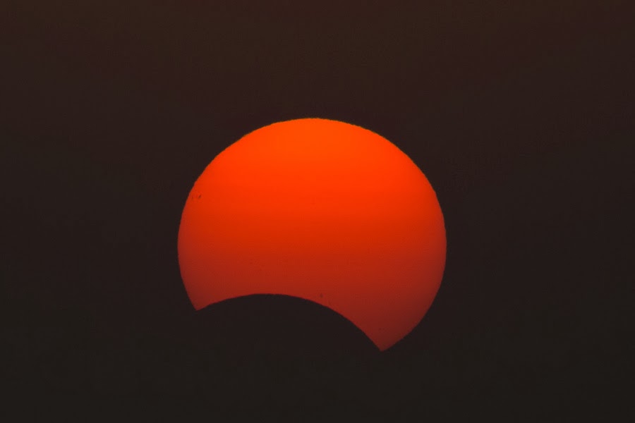 Birds of Saudi Arabia: Partial Eclipse of the Sun – Dhahran Hills