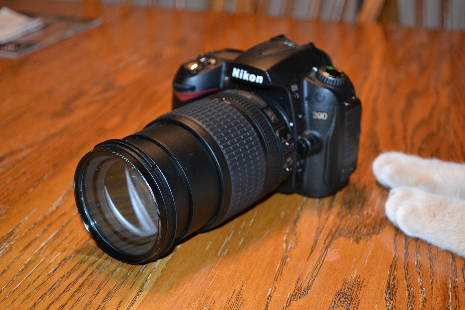 Barb's Cats and Quilts: The Dead Camera