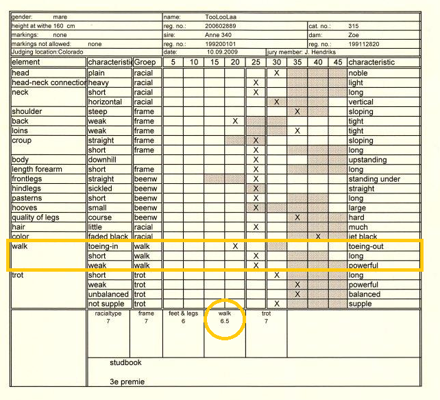 Sable Ranch Friesian Horses: Stallion Selection for your Mare