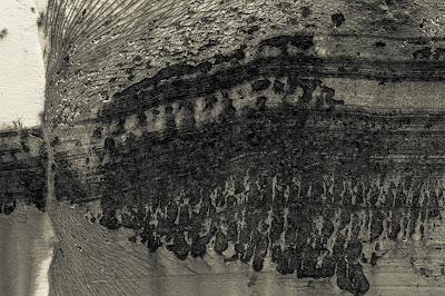 jean larson photography