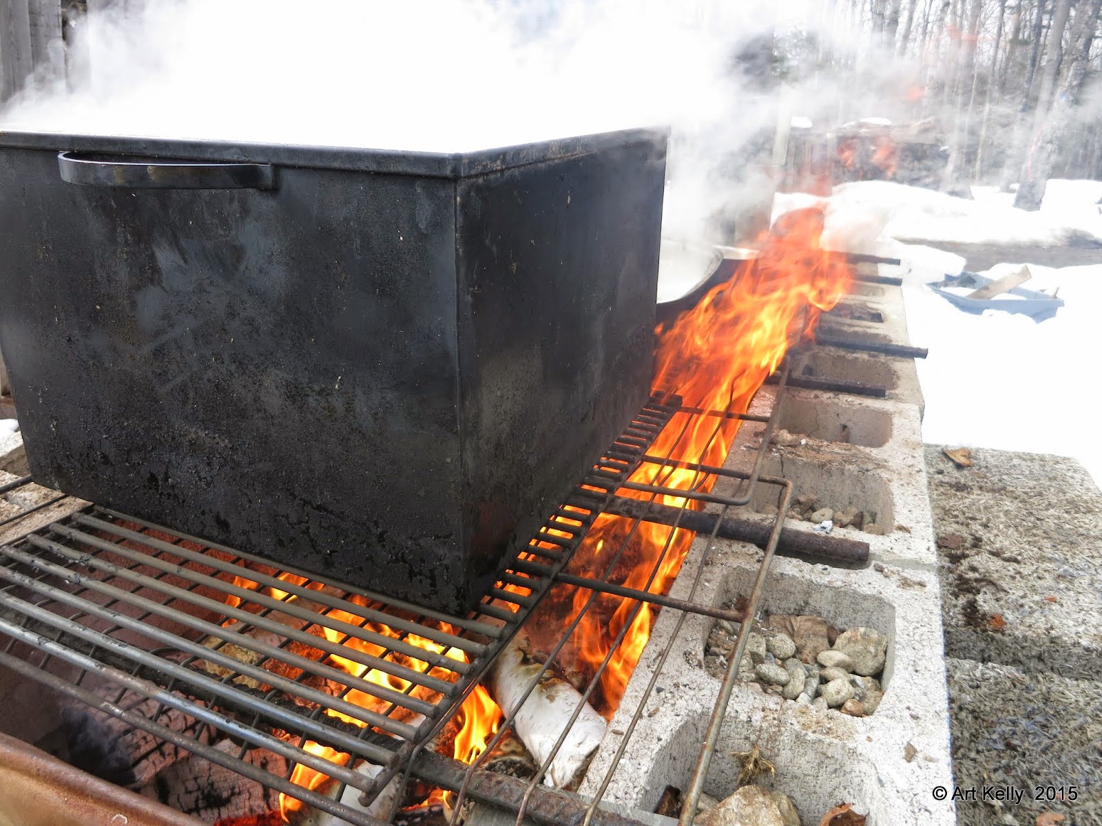 Living Off Grid - 45.05 N, 77.85 W: DELICIOUS MAPLE SYRUP