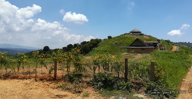 Sa Treasure Mountain - Tanay, Rizal