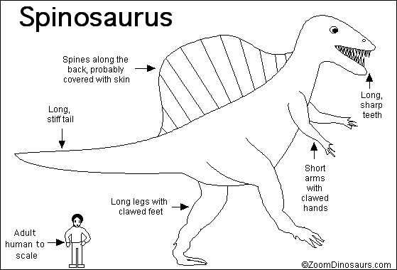 Spinosaurus | BIOLOGIPEDIA