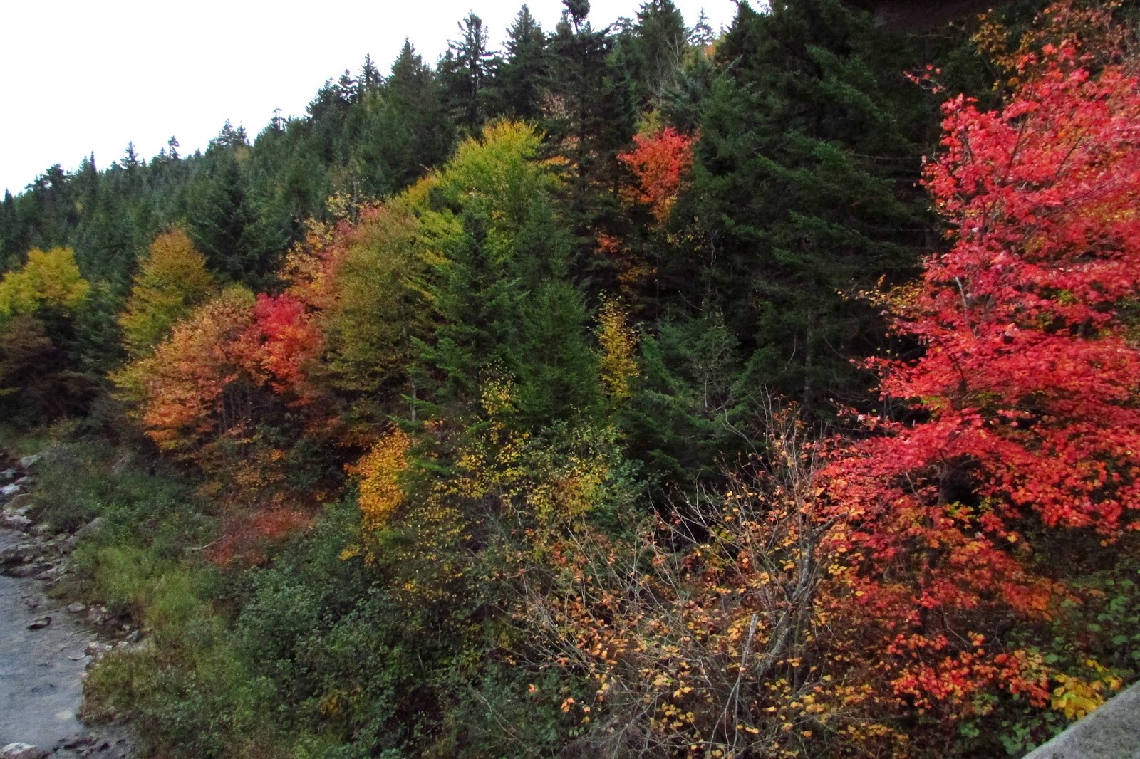 New Brunswick's Covered Bridges: Forty Five River No.1
