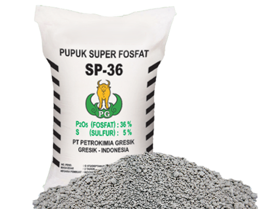 DISTRIBUTOR PUPUK NON SUBSIDI: jual pupuk sp-36 DISTRIBUTOR PUPUK NON SUBSIDI: jual pupuk sp-36