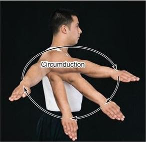 Physical Therapy Exercises: circumduction Exercise