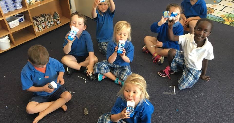 Room 1 Balclutha Primary School: Daily Milk!