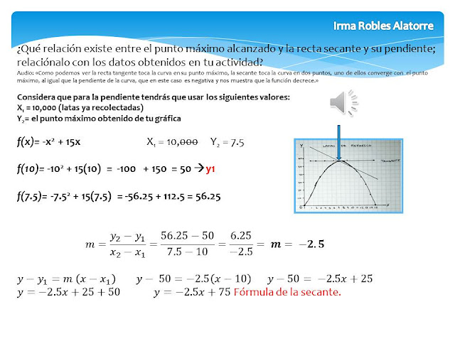 Blog Irma Robles Proyecto Integrador Módulo 18
