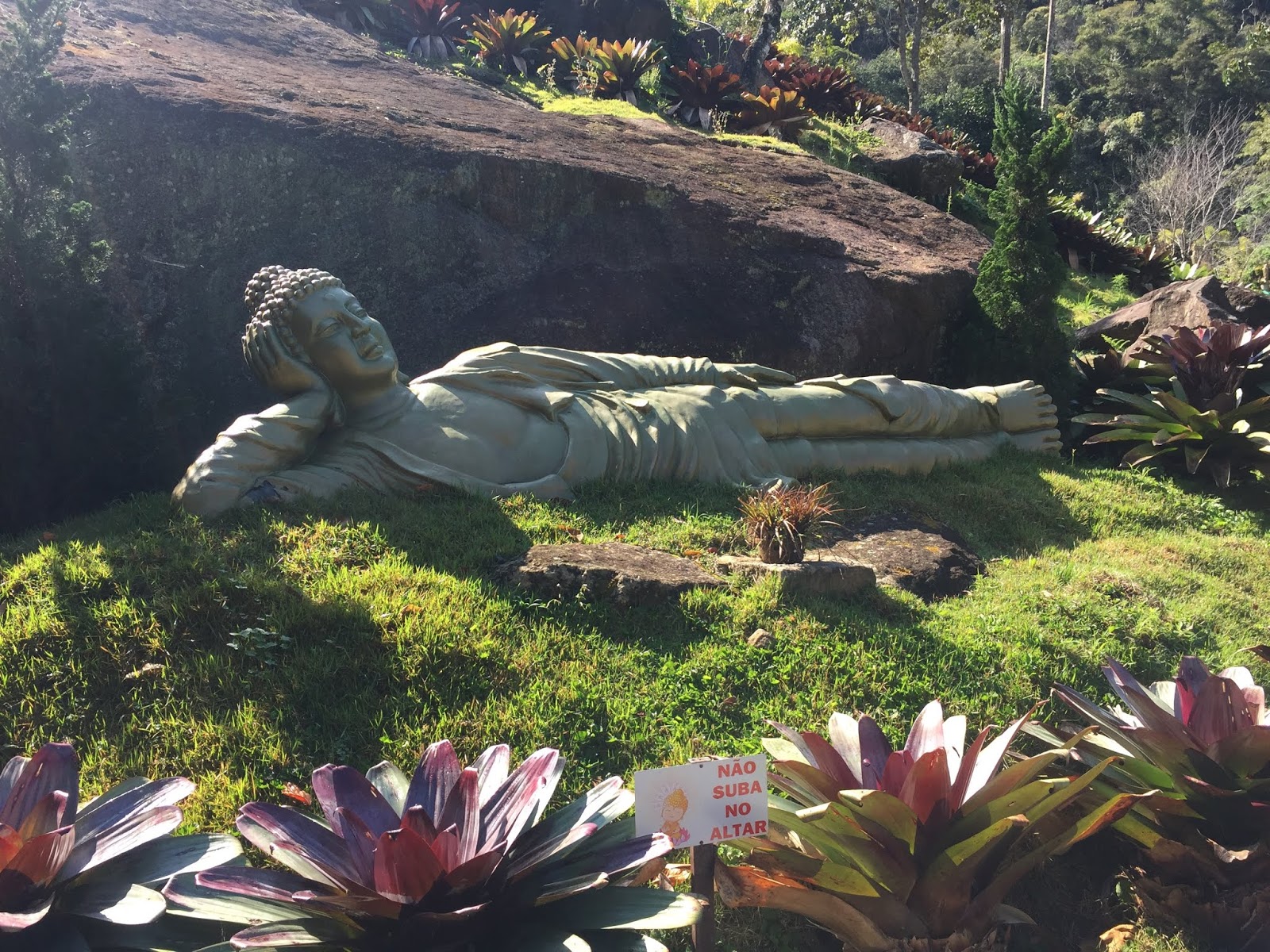 Vale do Amor - Petrópolis - RJ - Hibisco com Whey