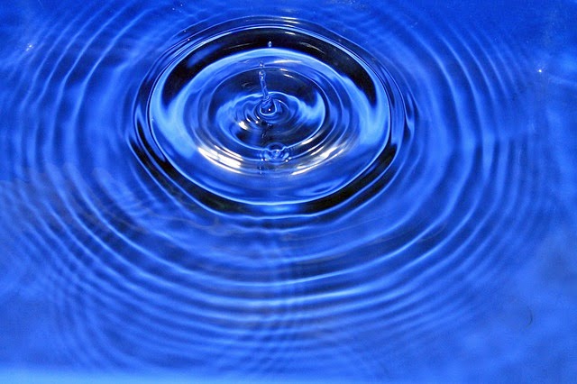 Life...what a beautiful mess: Fun Facts about Baby, Baby Blue Eyes!!