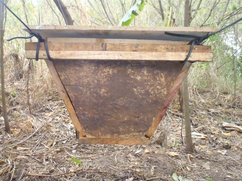 APISRED: Iniciamos nuestra incursion en la colmena KTBH, Top Bar Hive,o ...