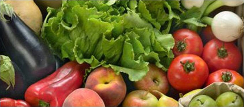 zerezas-otrasformasdecocinar: Alimentos Ecológicos son Mas beneficiosos ...