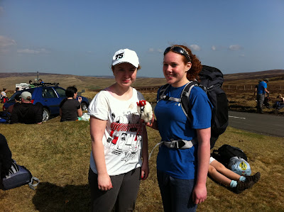 Global Adventures of Northumbrian Sheep: Hermie takes on the Allendale ...