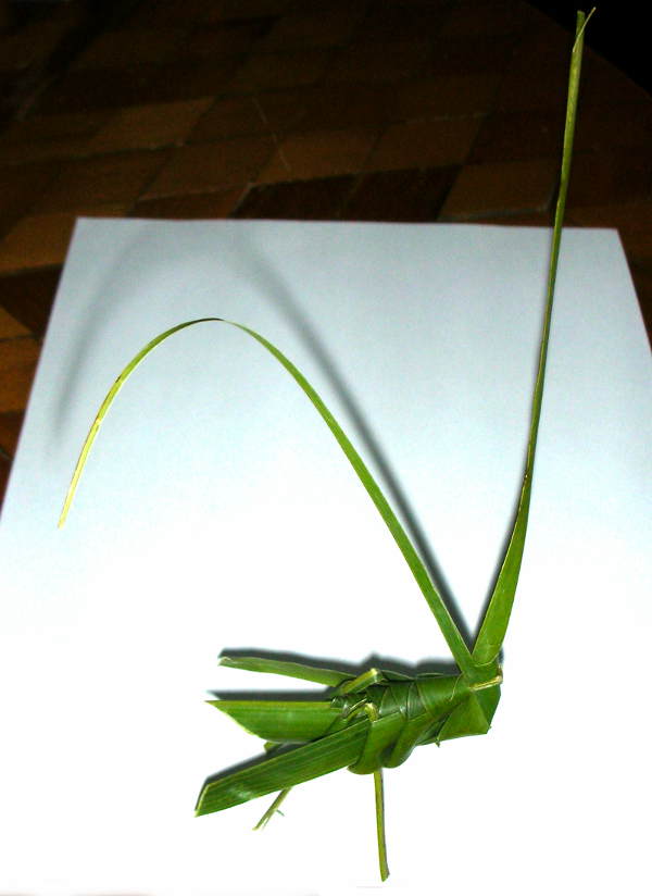 Mexico Bob: Ah, Grasshopper...