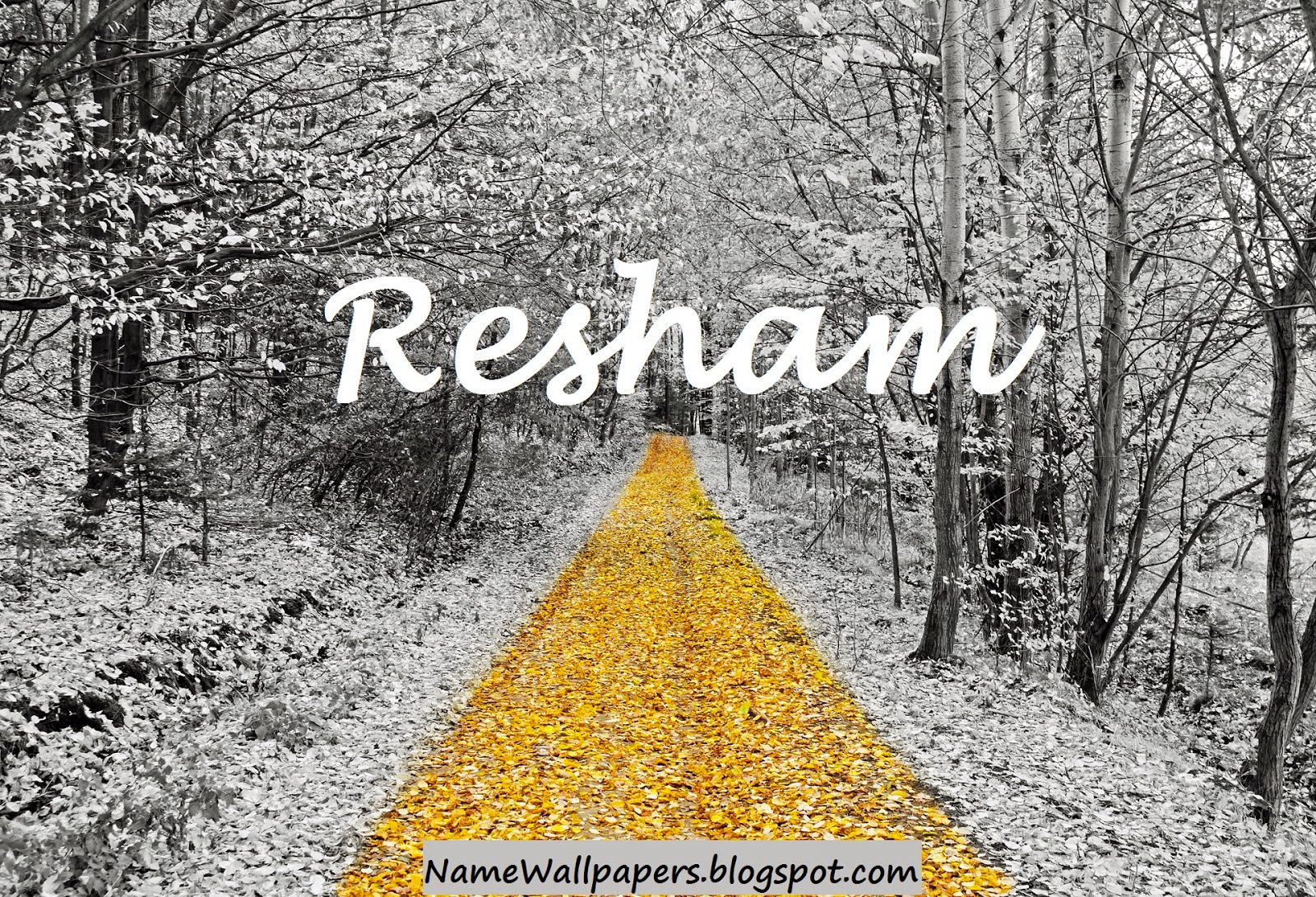 Resham Name Wallpapers Resham ~ Name Wallpaper Urdu Name Meaning Name ...
