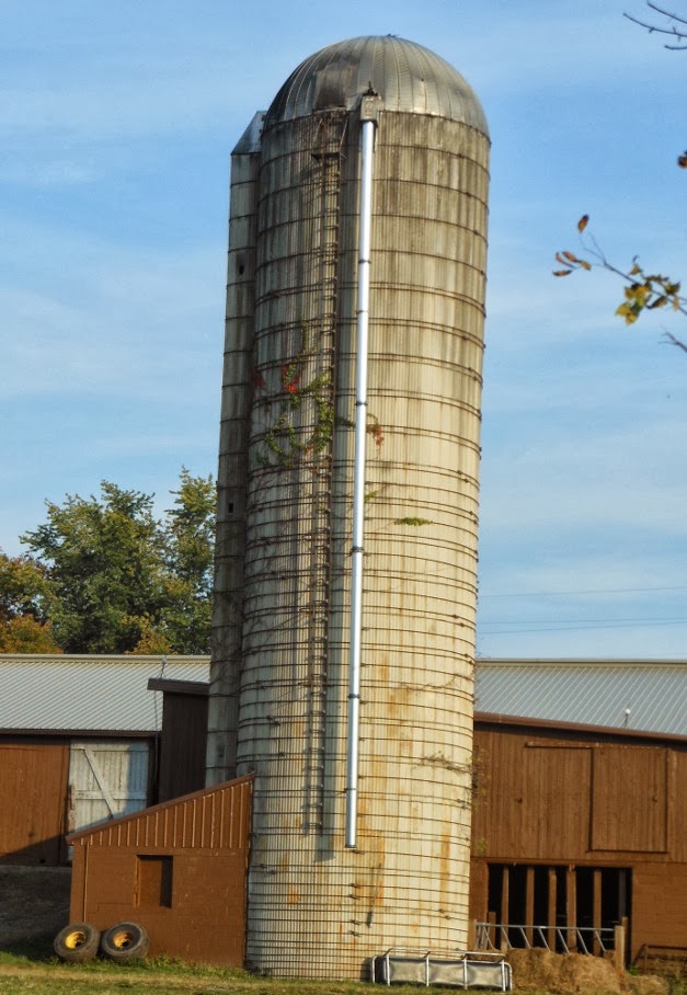 Quilted Nest: My Real Life Fall Inspiration...