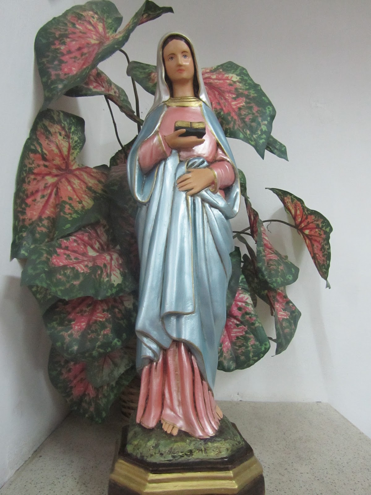 Capilla "San Martín de Porres" - La Rioja - Argentina: SEXTO DÍA DE ...