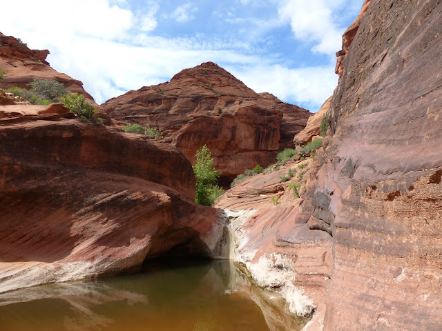 Land Cruising Adventure: Red Cliffs Natural Conservation Area, Utah