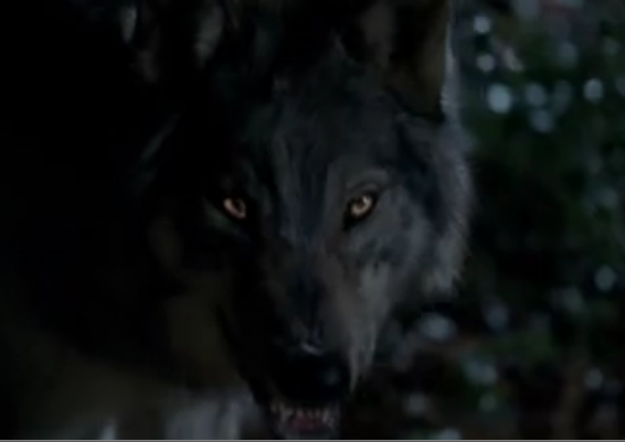 Fangs For The Fantasy: Face Off: Werewolf vs Werewolf
