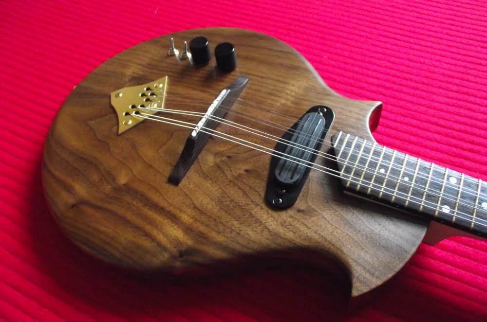 A Luthier's Blog: Chris's Electric Mandolin