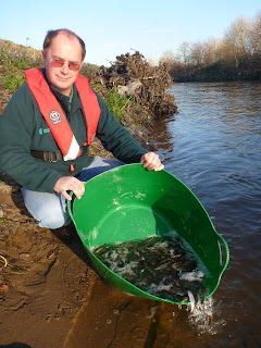 Salford Friendly Anglers Society News Blog: Restocking Drinkwater Park ...