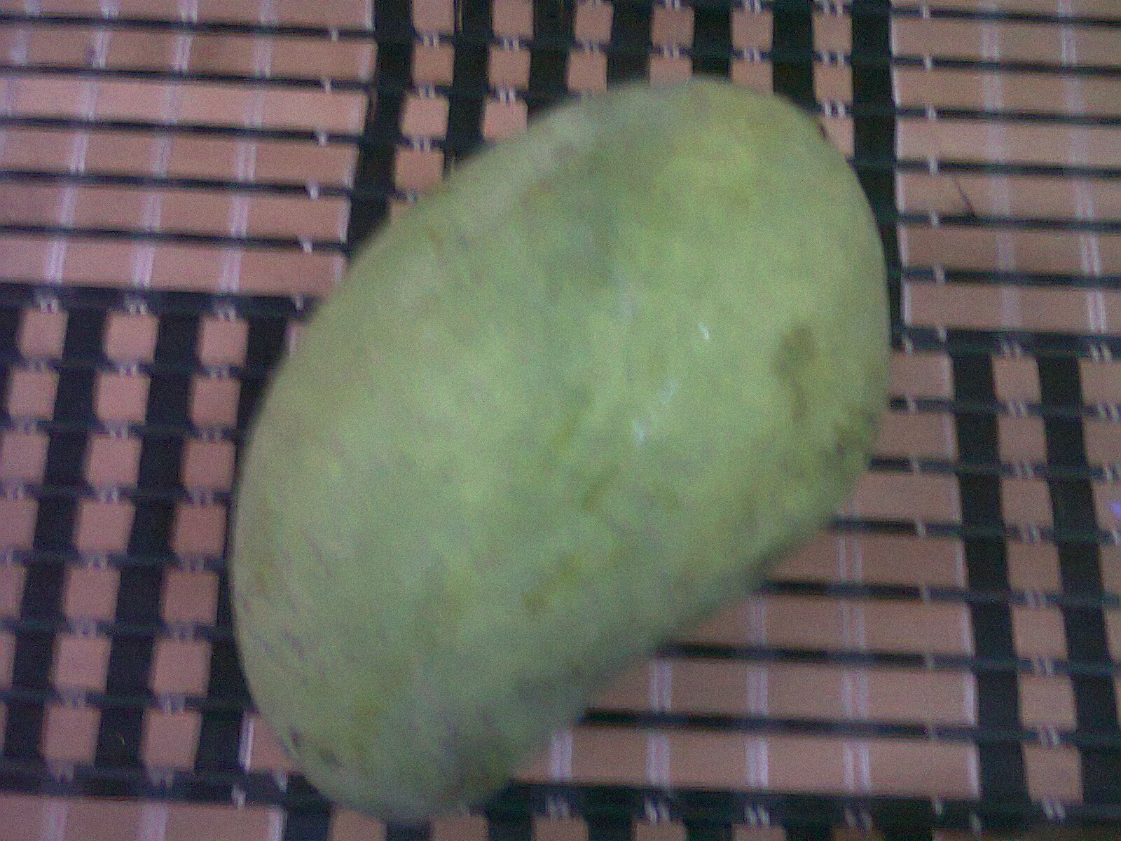 My Life My Words: Pelbagai jenis mempelam....