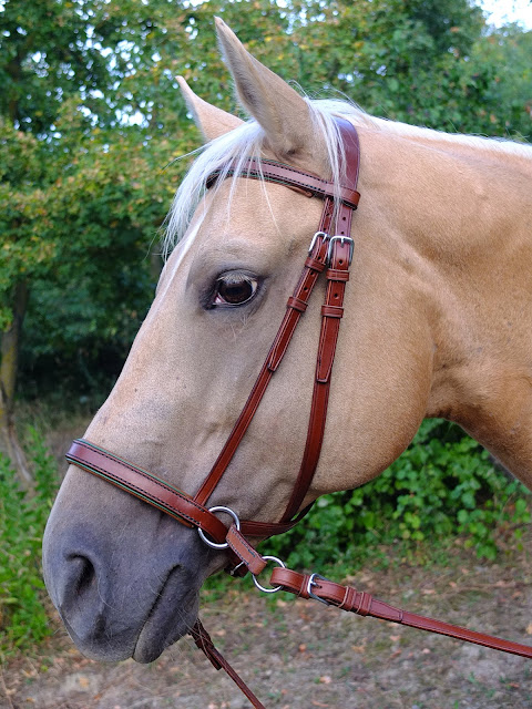 Sketches from the Saddlery - Leather items made in Italy: August 2016