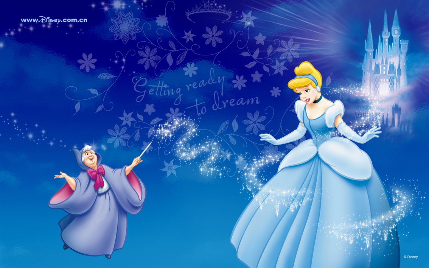 The Charming World of Disney Princess