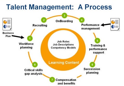 Why Talent Management Is an Important Business Strategy