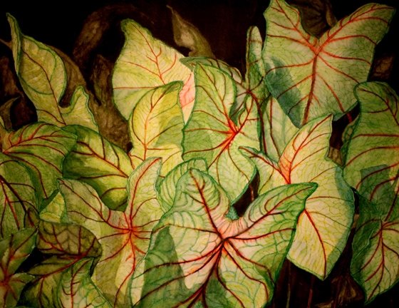 MANAGING THE ART CLASSROOM: INTERVIEW WITH MRS. BECKY GUINN; PART I