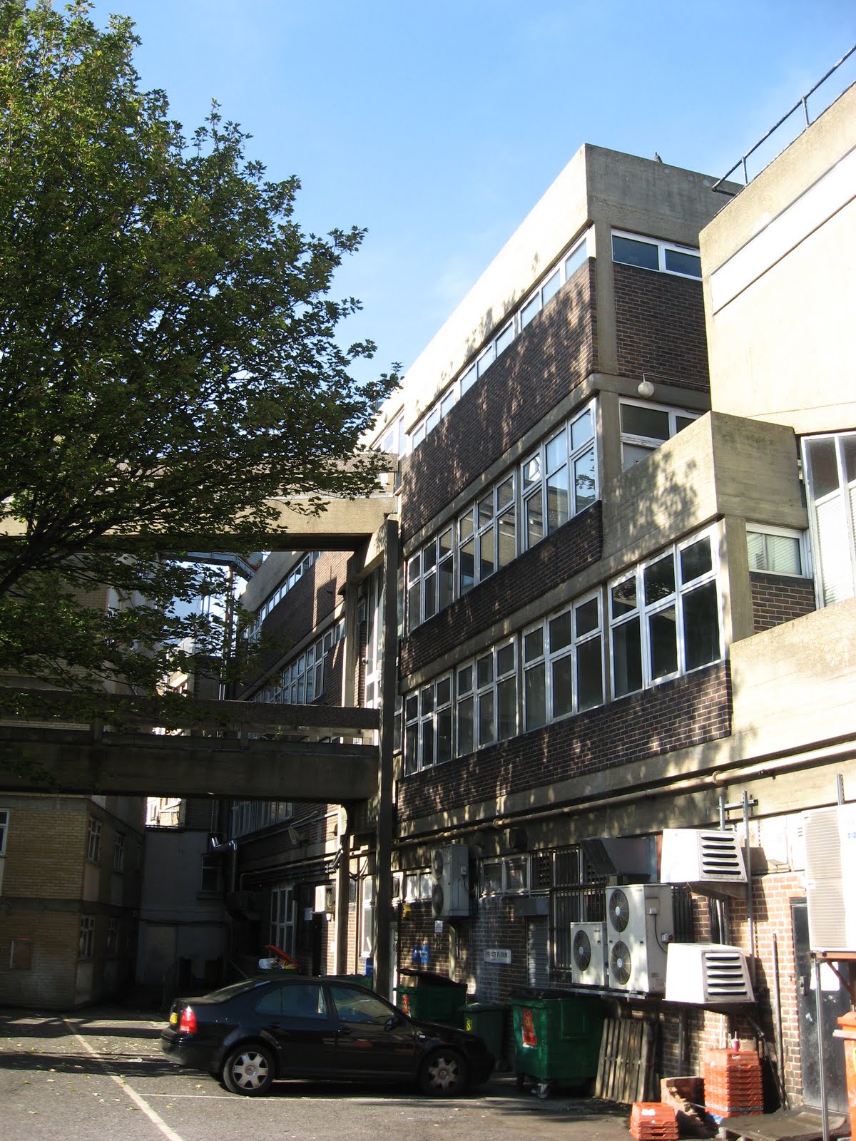 London Times: Thames Polytechnic: Finding My Feet