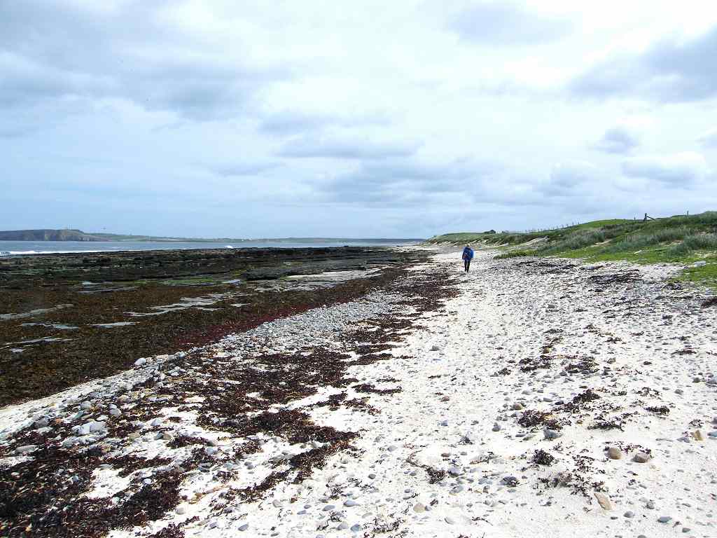 Turn Left at Bognor Pier: Walk 210 -- Castletown to Thurso