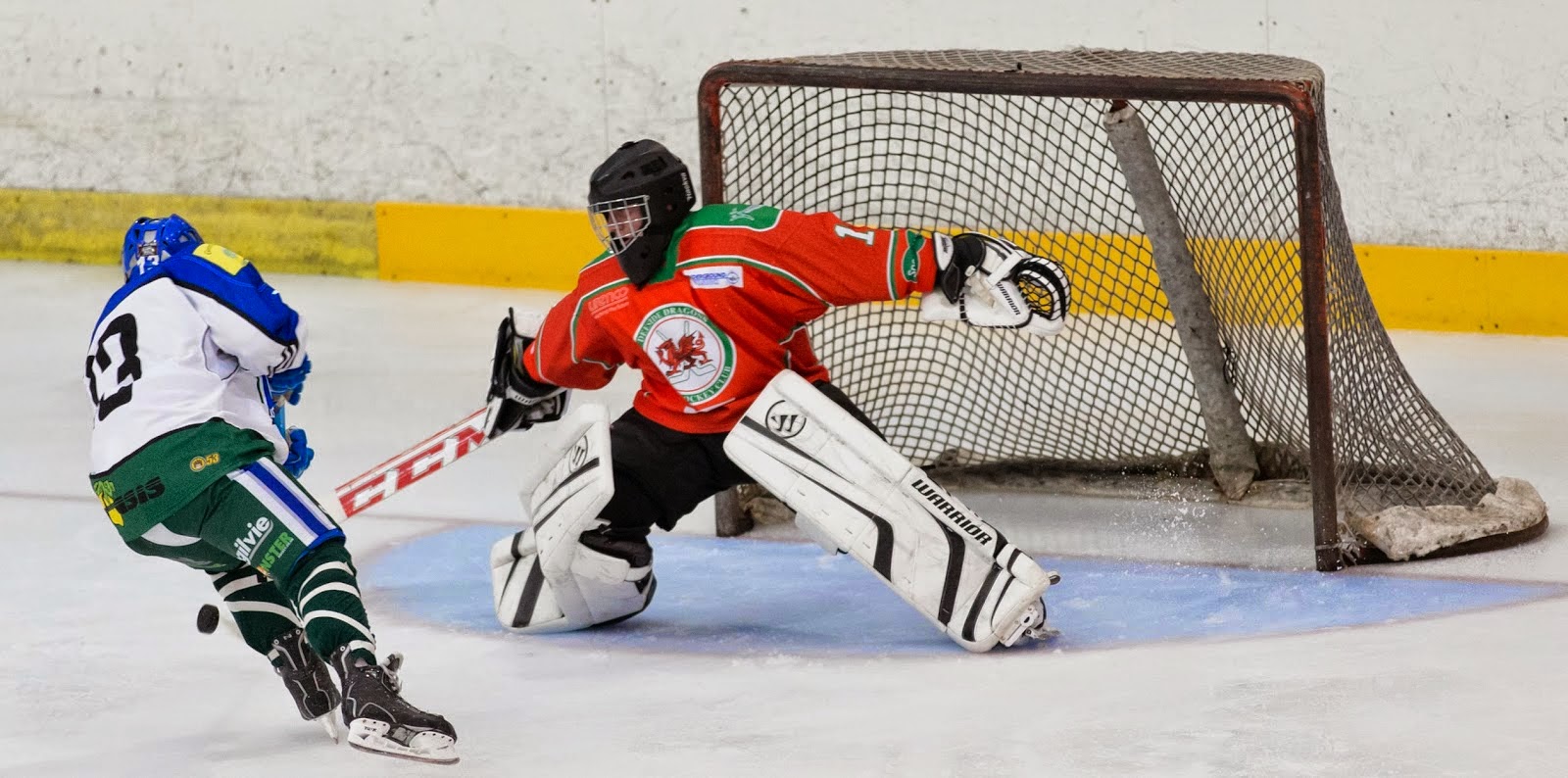 Dragons' foursome back for more | British Ice Hockey