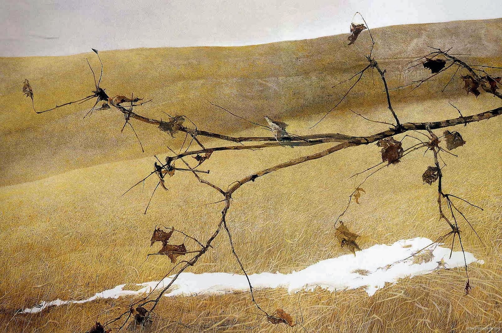 Bare Trees: Andrew Wyeth