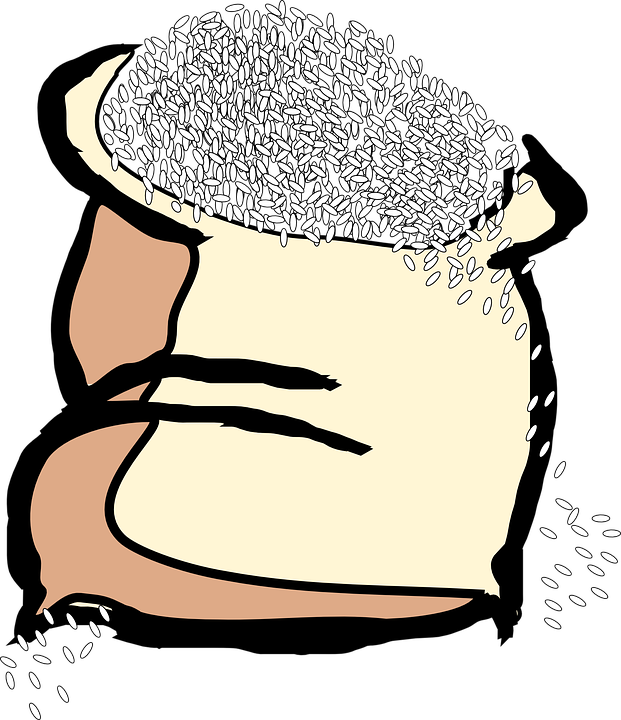 Jessie Hearn - Myth and Folklore: Reading Notes: Ozaki, Part A