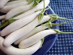 BUKU TANAMAN PENDIDIKAN KHAS: MENGENAL BENIH SAYURAN JENIS BIJI