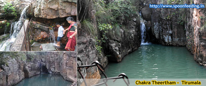 Journey to Tirupati and Surrounding Places - Tourist Attractions in ...