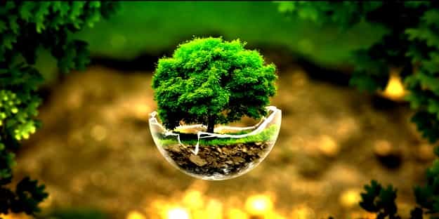 Generasi Hidup Hijau: alam sekitar kehidupan kita