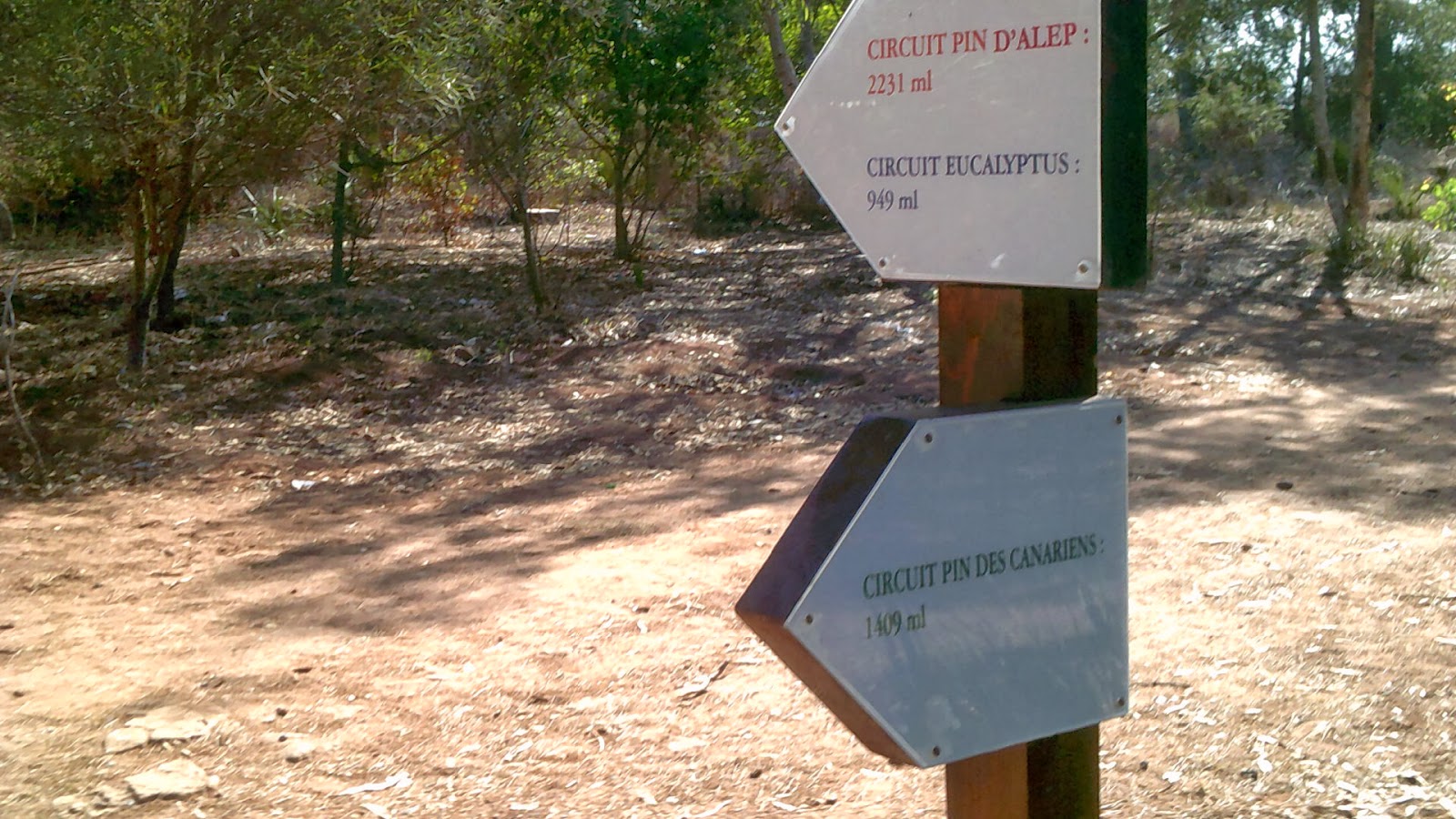 MAROC CORRECT: HARHOURA ET FORET