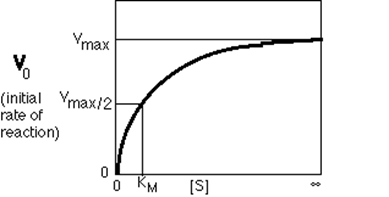 IB Chem Helper: B. Human Biochemistry