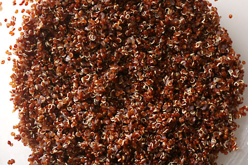 El Jardín de Judith: QUINOA,EL GRANO DE ORO DE LOS ANDES