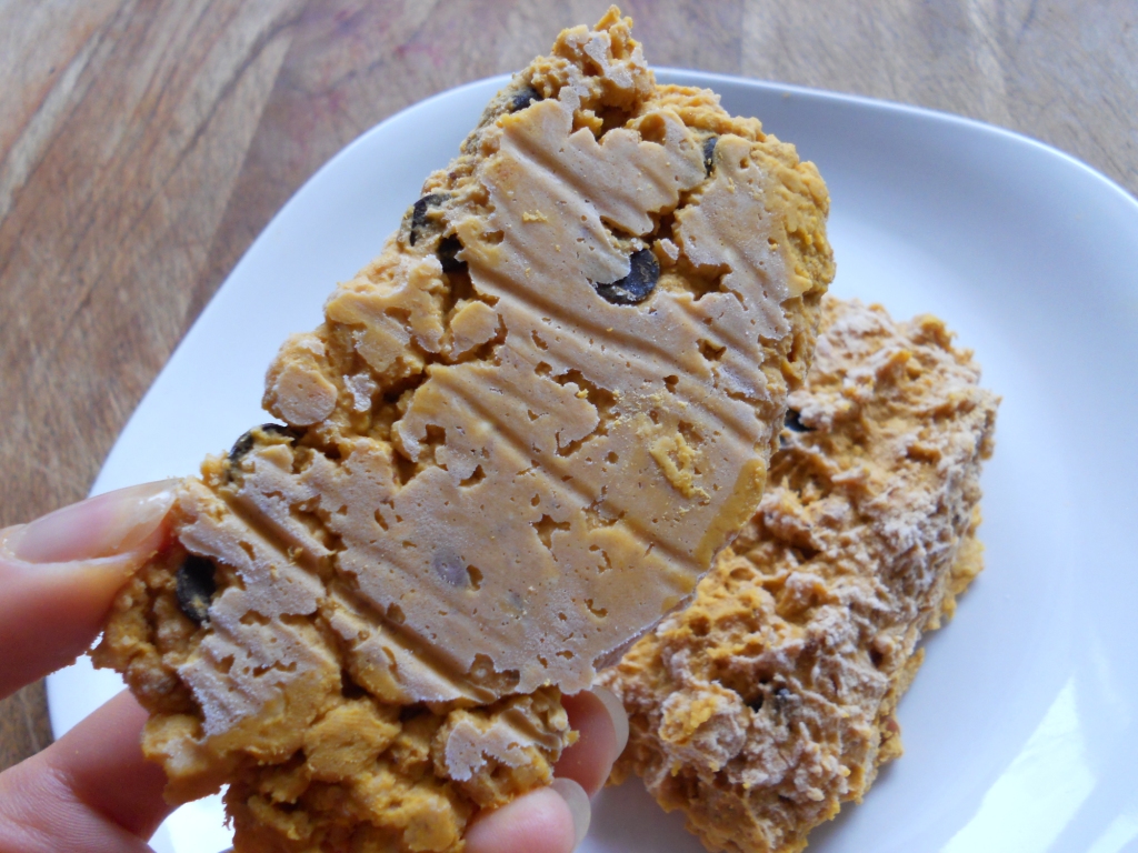 Snacking Squirrel: Pumpkin Protein Fudge Bar Recipe