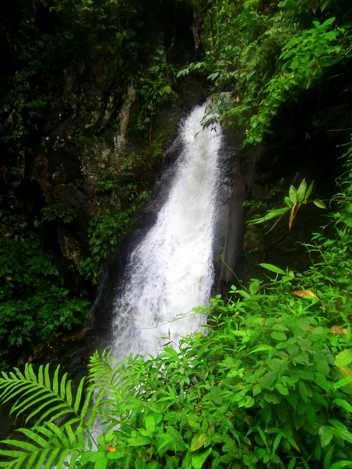 Trip ni DorangExplorer: Bacolod - Nature Trip at Negros Occidental