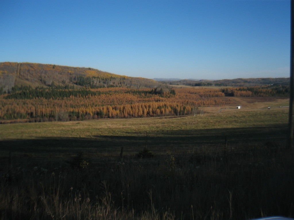 Marg's Racing Ventures: Open Creek Dam Spring