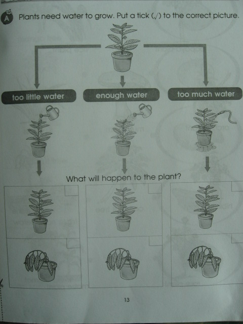 SCIENCE YEAR 2: Worksheets