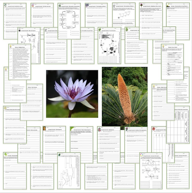 Amy Brown Science: Amp Up Your Unit on Plants!