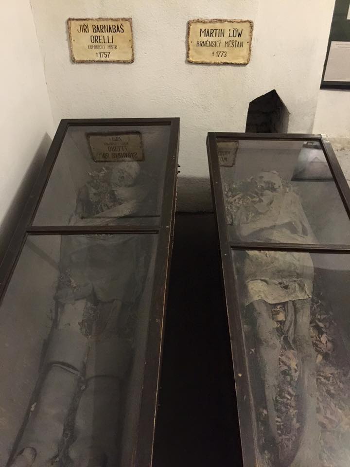 A Life Without Mofongo: Brno, Czech Republic