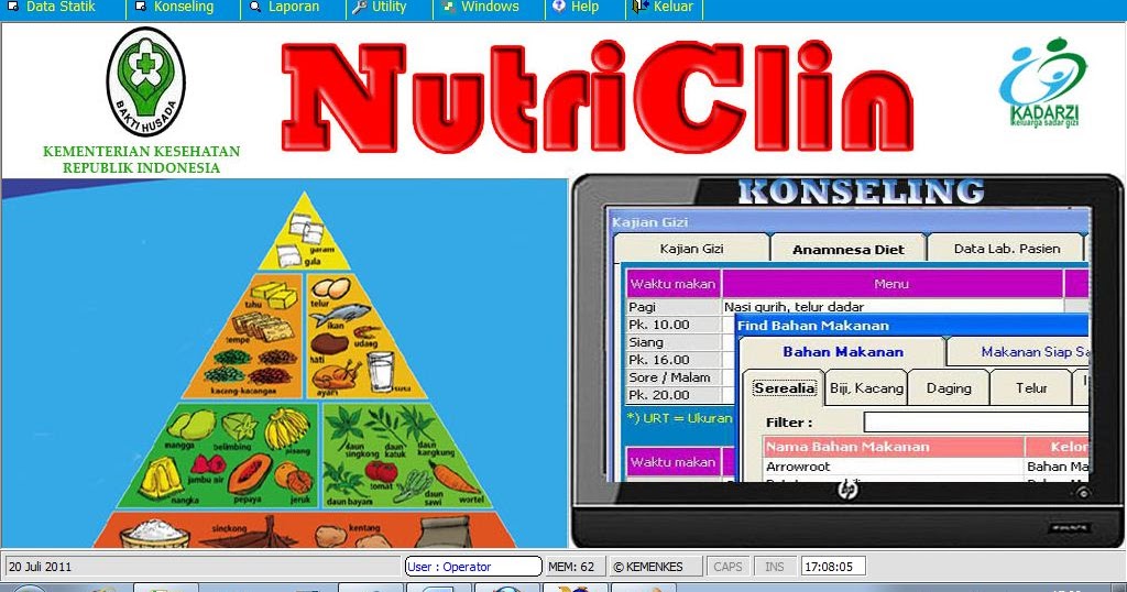 NUTRICLIN VS NUTRISURVEY - BAKUL DATA GIZI