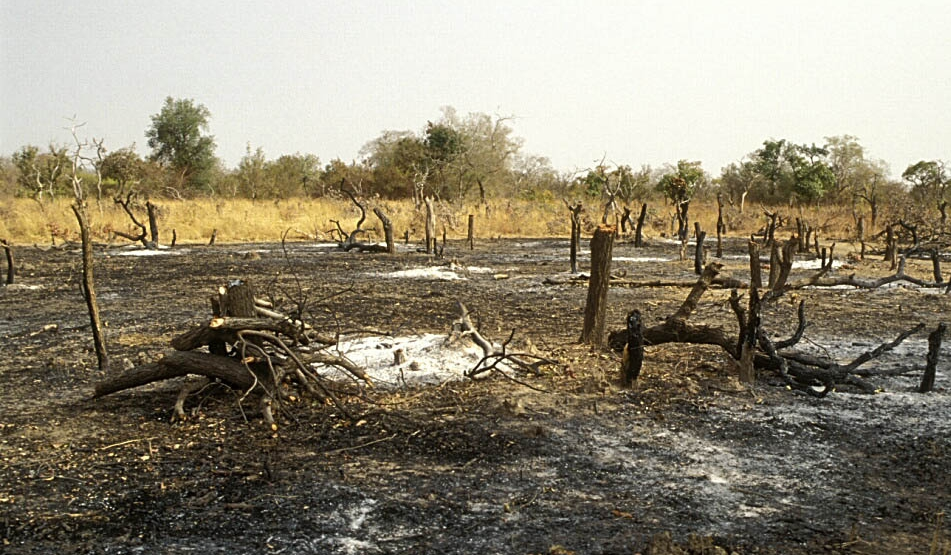 Expedition Earth: Sahel